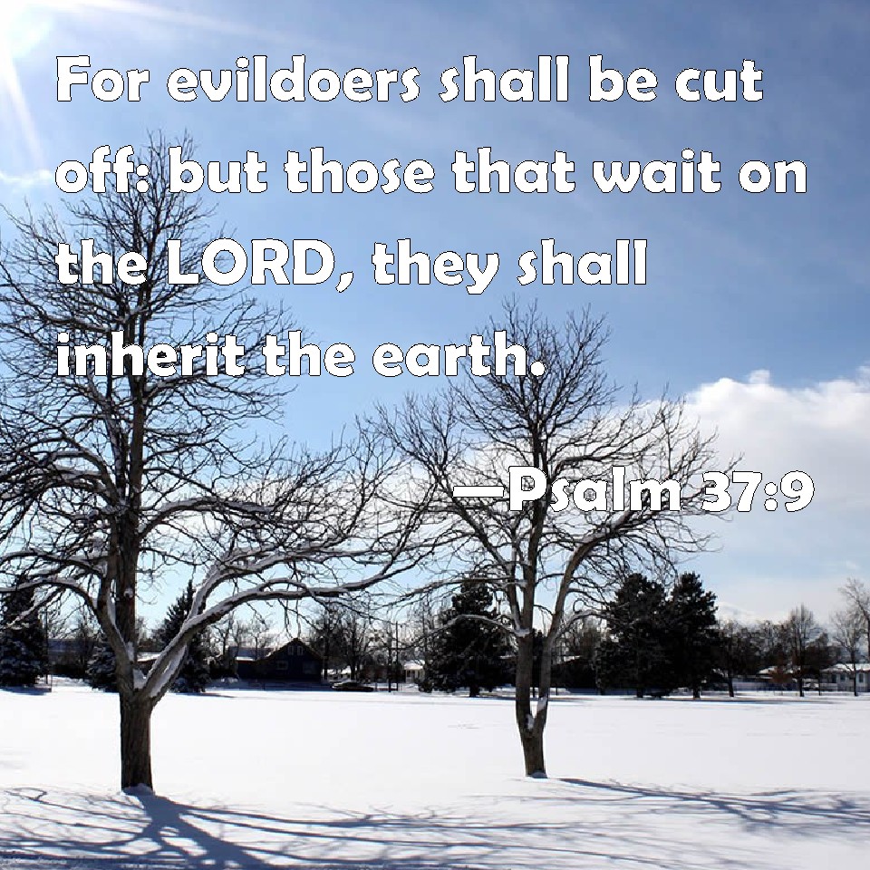 Psalm 37 9 For Evildoers Shall Be Cut Off But Those That Wait On The