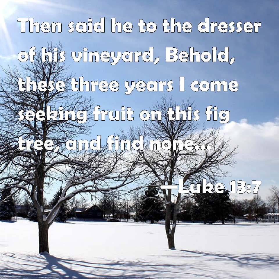 Luke 13 7 Then Said He To The Dresser Of His Vineyard Behold These