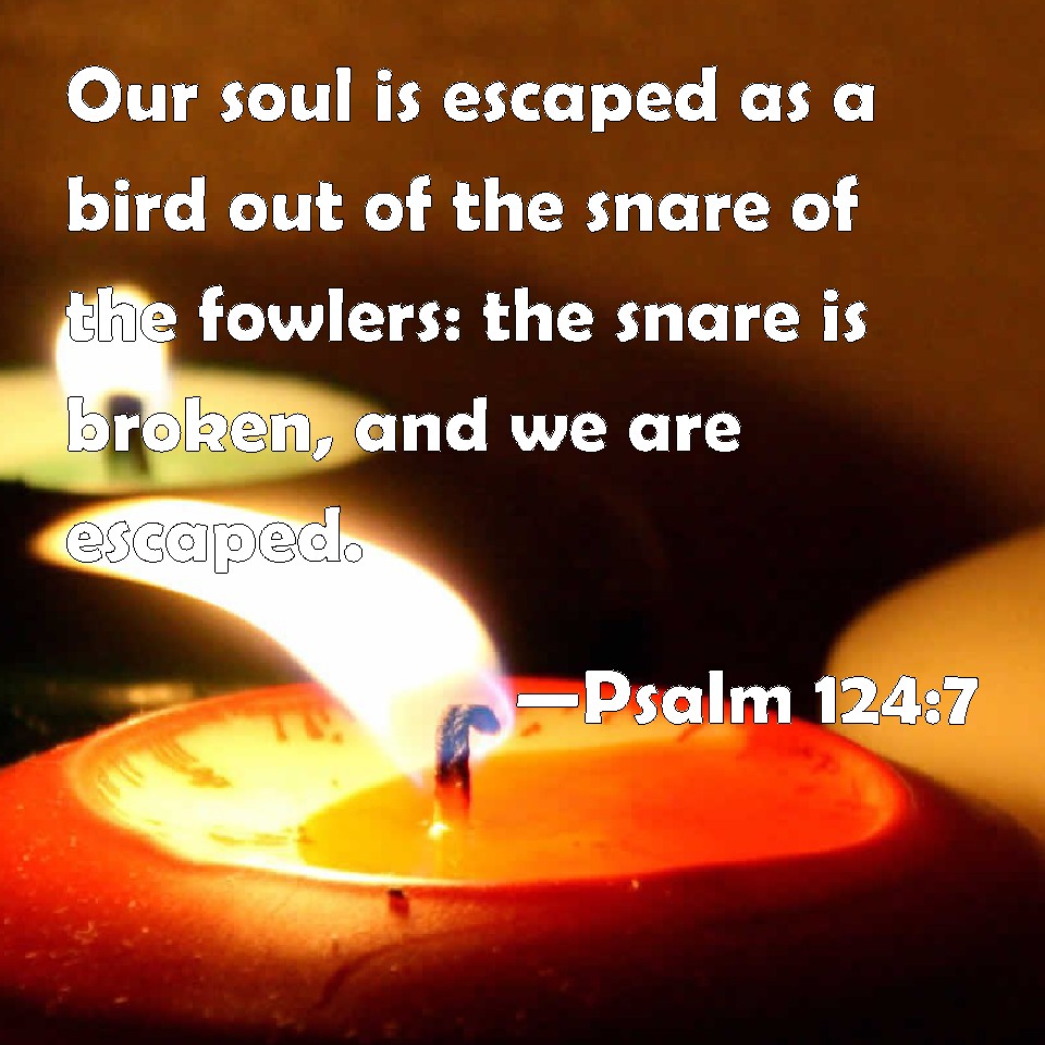 Psalm 124 7 Our Soul Is Escaped As A Bird Out Of The Snare Of The Psalm 124 7 Our Soul Is Escaped As A Bird Out Of The Snare Of The