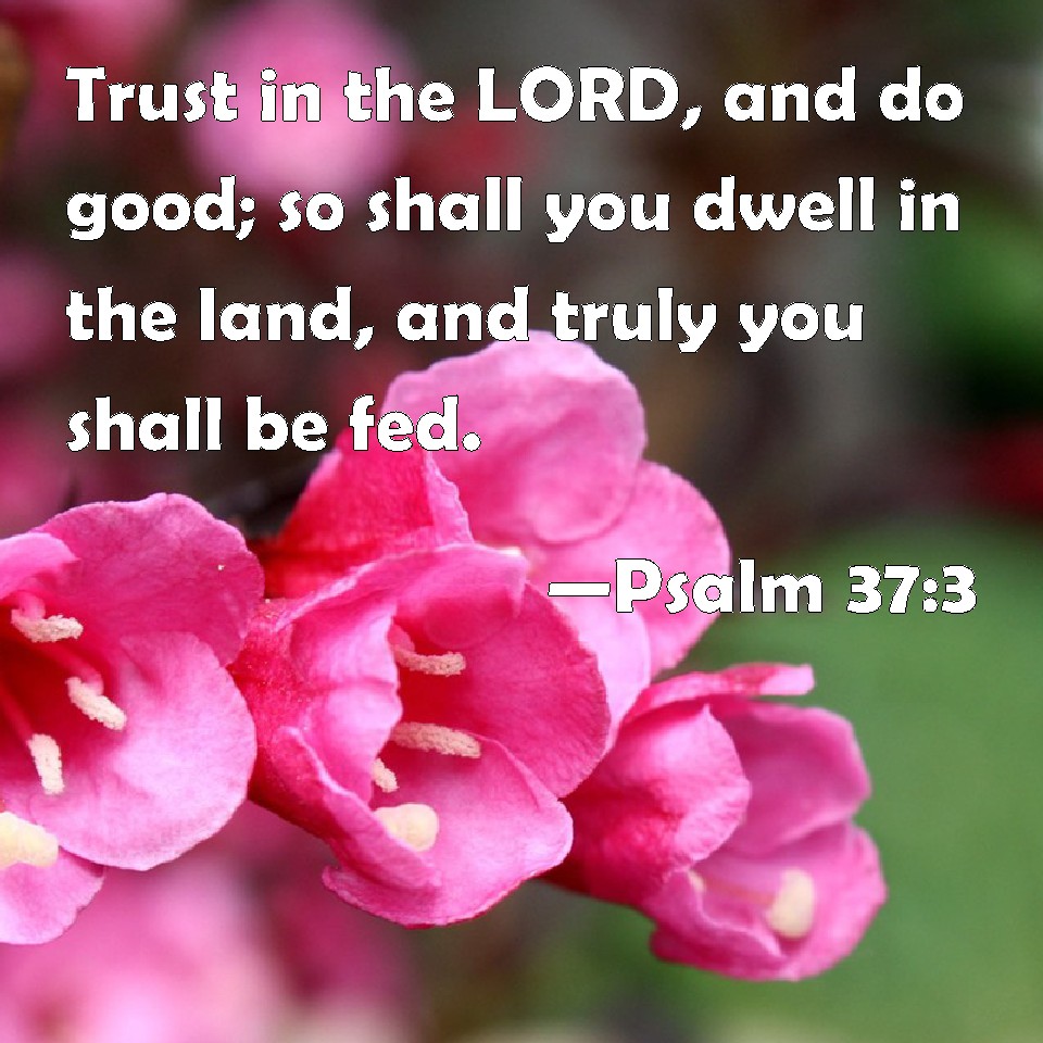 Psalm 37 3 Trust In The LORD And Do Good So Shall You Dwell In The Psalm 37 3 Trust In The LORD And Do Good So Shall You Dwell In The