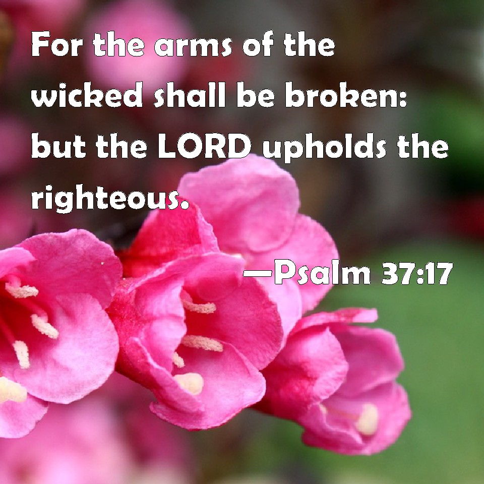Psalm 37 17 For The Arms Of The Wicked Shall Be Broken But The LORD