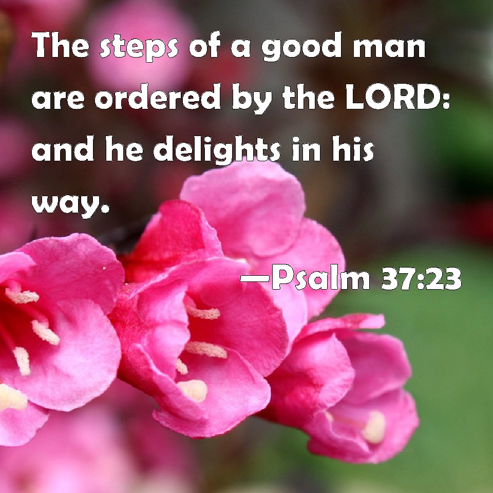 Psalm 37 23 The Steps Of A Good Man Are Ordered By The LORD And He Psalm 37 23 The Steps Of A Good Man Are Ordered By The LORD And He