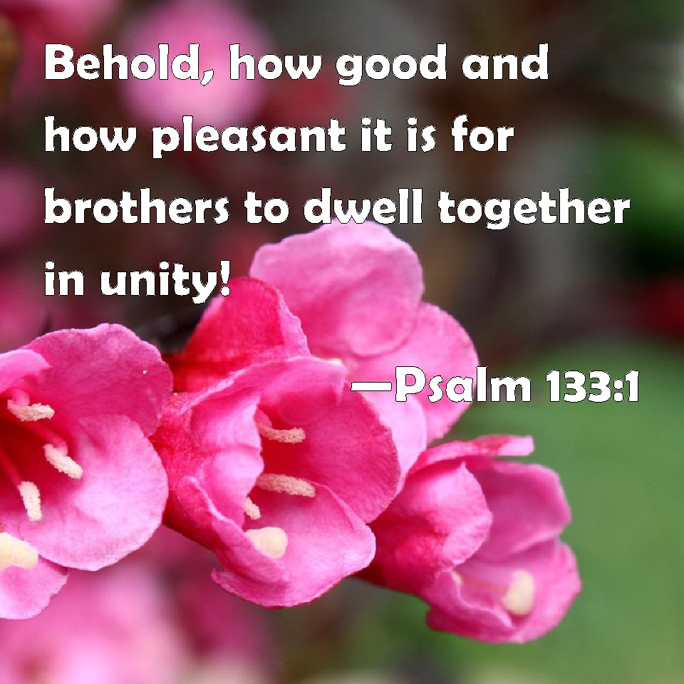 Psalm 133 1 Behold How Good And How Pleasant It Is For Brothers To Psalm 133 1 Behold How Good And How Pleasant It Is For Brothers To