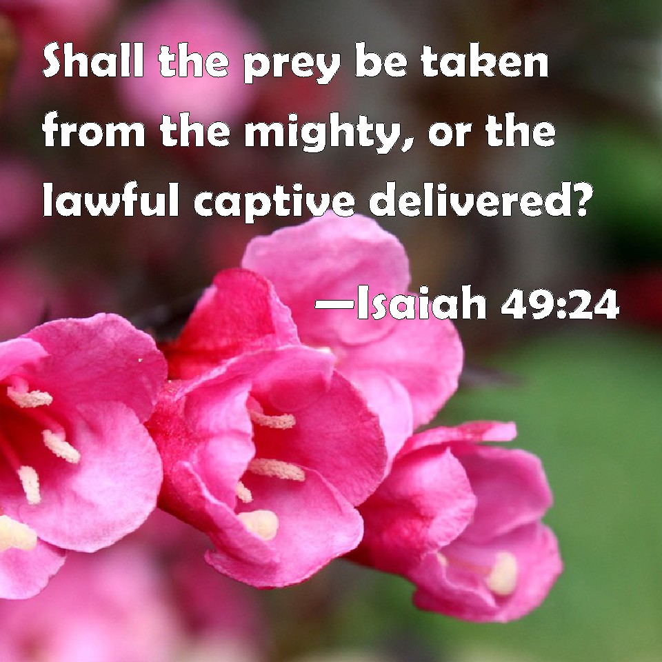 Isaiah 49 24 Shall The Prey Be Taken From The Mighty Or The Lawful