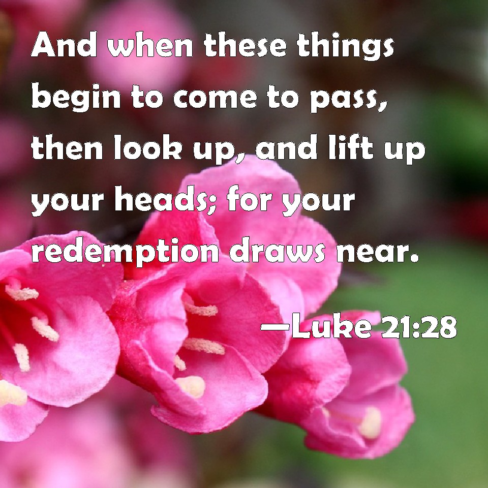 Luke 21 28 And When These Things Begin To Come To Pass Then Look Up