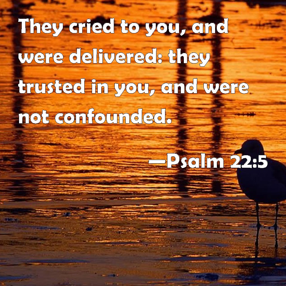 Psalm 22 5 They Cried To You And Were Delivered They Trusted In You