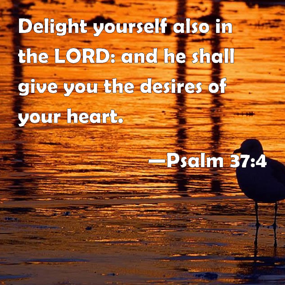 Psalm 37 4 Delight Yourself Also In The LORD And He Shall Give You The Psalm 37 4 Delight Yourself Also In The LORD And He Shall Give You The