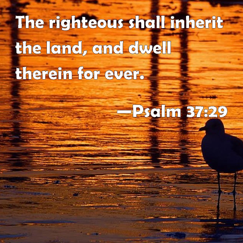 Psalm 37 29 The Righteous Shall Inherit The Land And Dwell Therein For Psalm 37 29 The Righteous Shall Inherit The Land And Dwell Therein For