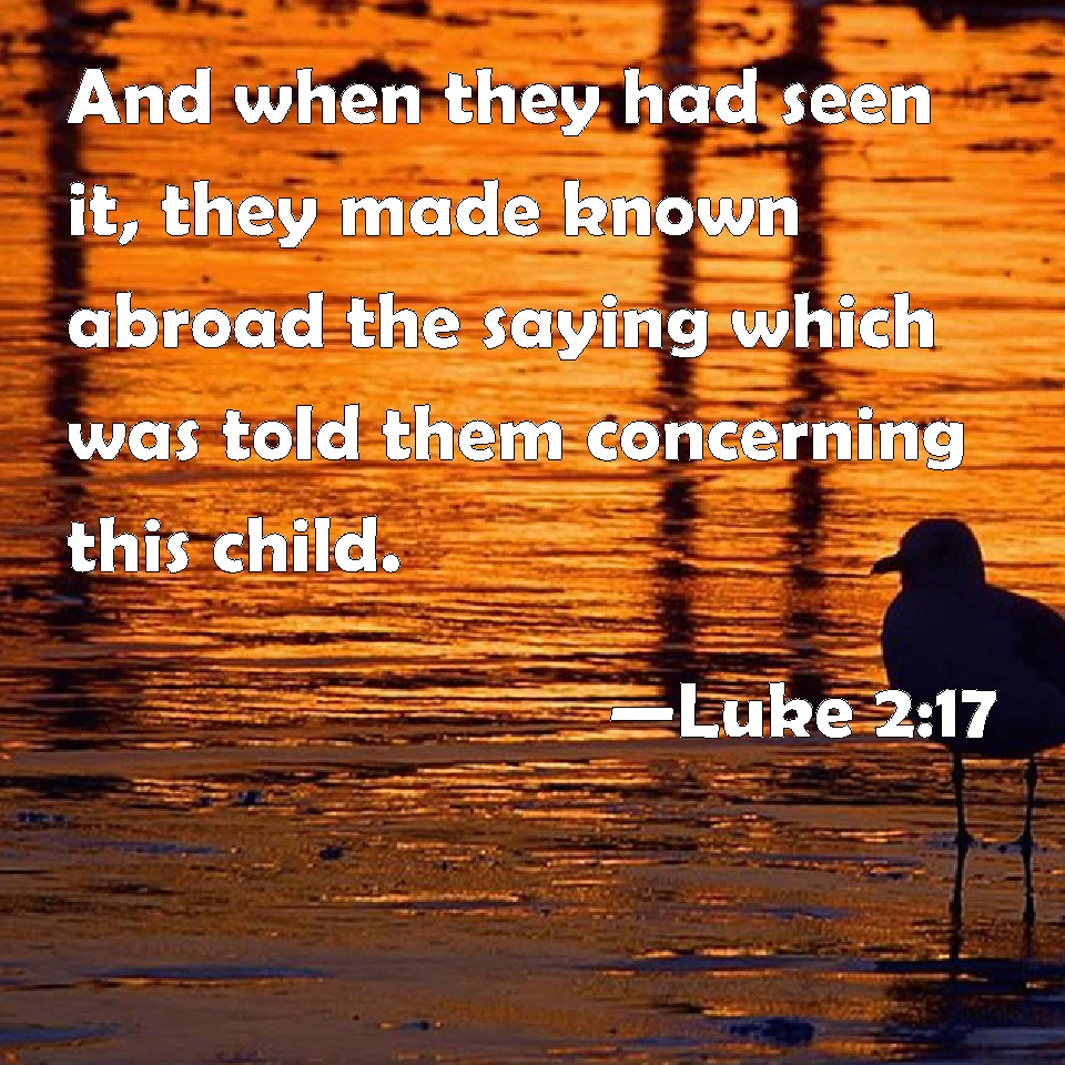 Luke 2 17 And When They Had Seen It They Made Known Abroad The Saying