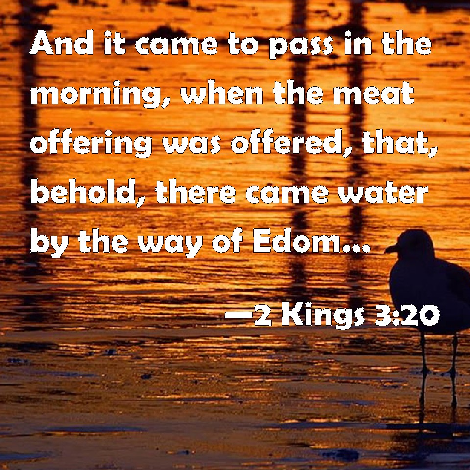 2 Kings 3 20 And It Came To Pass In The Morning When The Meat Offering