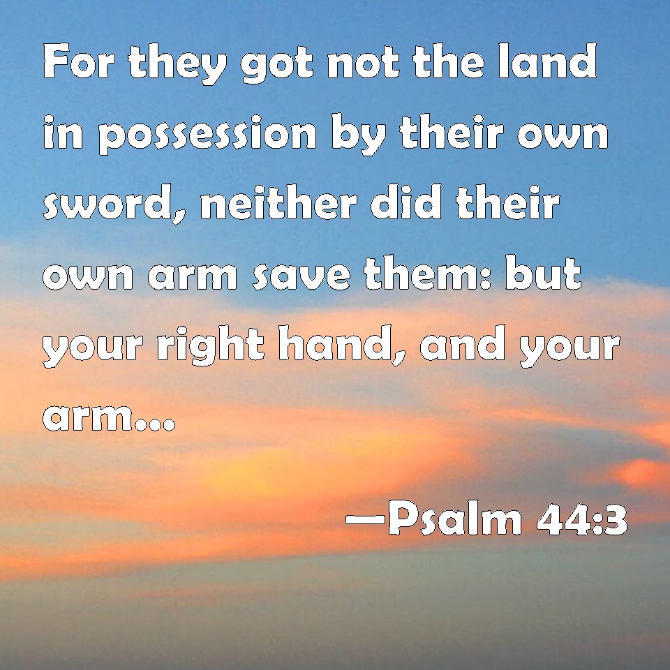 Psalm 44 3 For They Got Not The Land In Possession By Their Own Sword