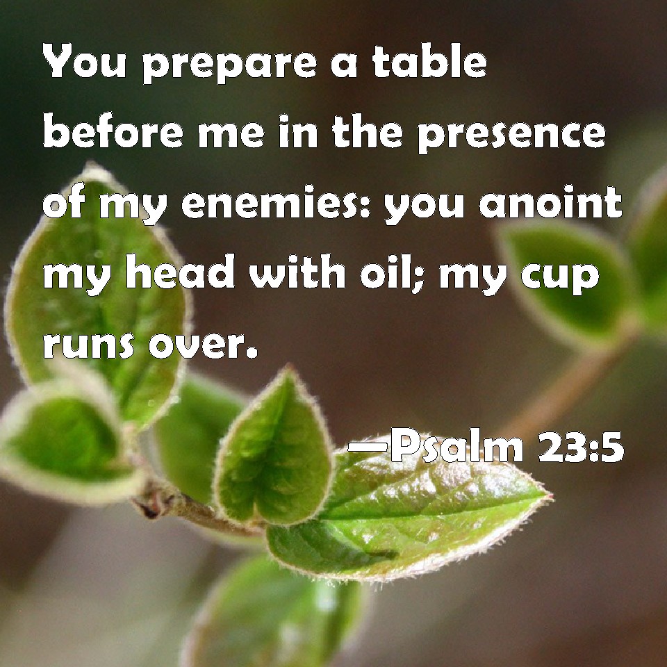 Psalm 23 5 You Prepare A Table Before Me In The Presence Of My Enemies