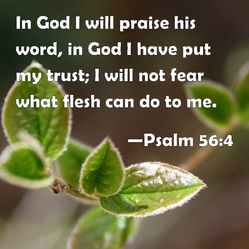 Psalm 56 4 In God I Will Praise His Word In God I Have Put My Trust I