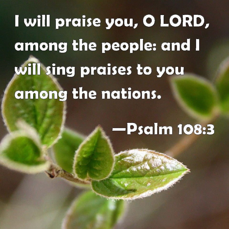 Psalm 108 3 I Will Praise You O LORD Among The People And I Will