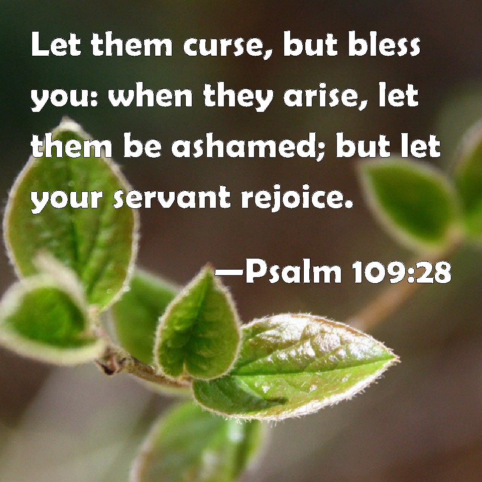 Psalm 109 28 Let Them Curse But Bless You When They Arise Let Them