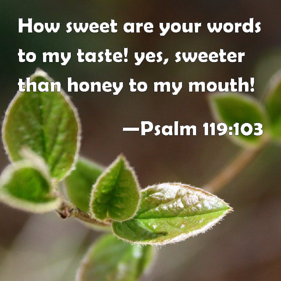 Psalm 119 103 How Sweet Are Your Words To My Taste Yes Sweeter Than Psalm 119 103 How Sweet Are Your Words To My Taste Yes Sweeter Than