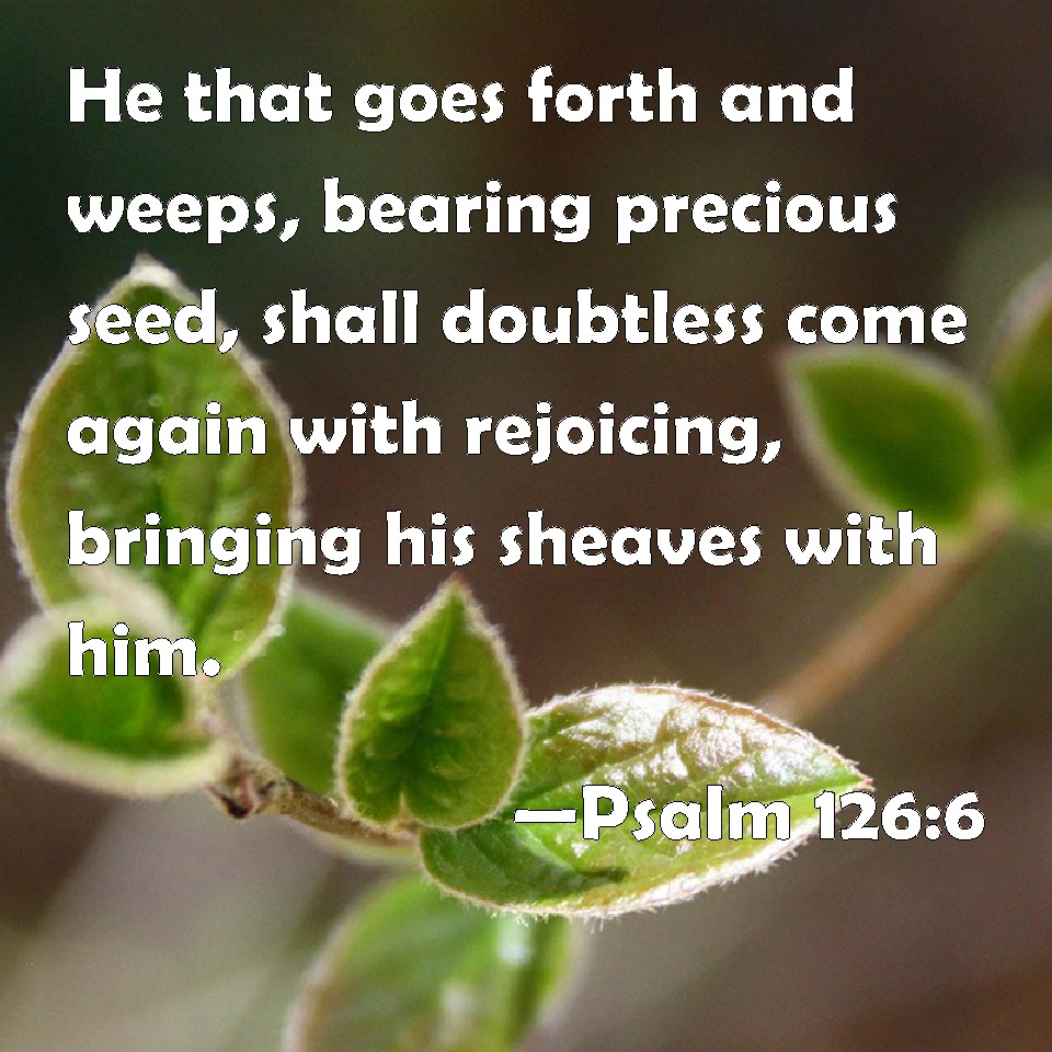 Psalm 126 6 He That Goes Forth And Weeps Bearing Precious Seed Shall Psalm 126 6 He That Goes Forth And Weeps Bearing Precious Seed Shall
