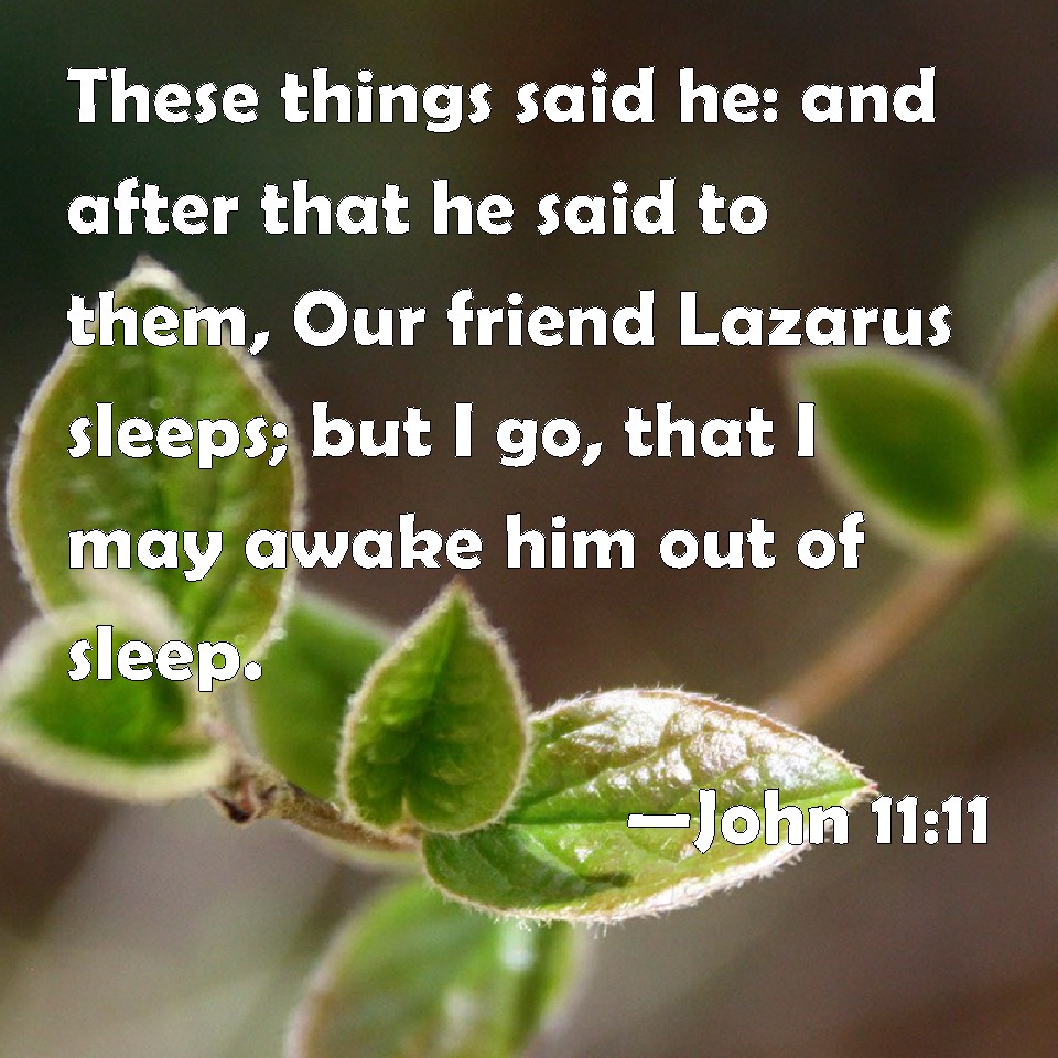 John 11 11 These Things Said He And After That He Said To Them Our