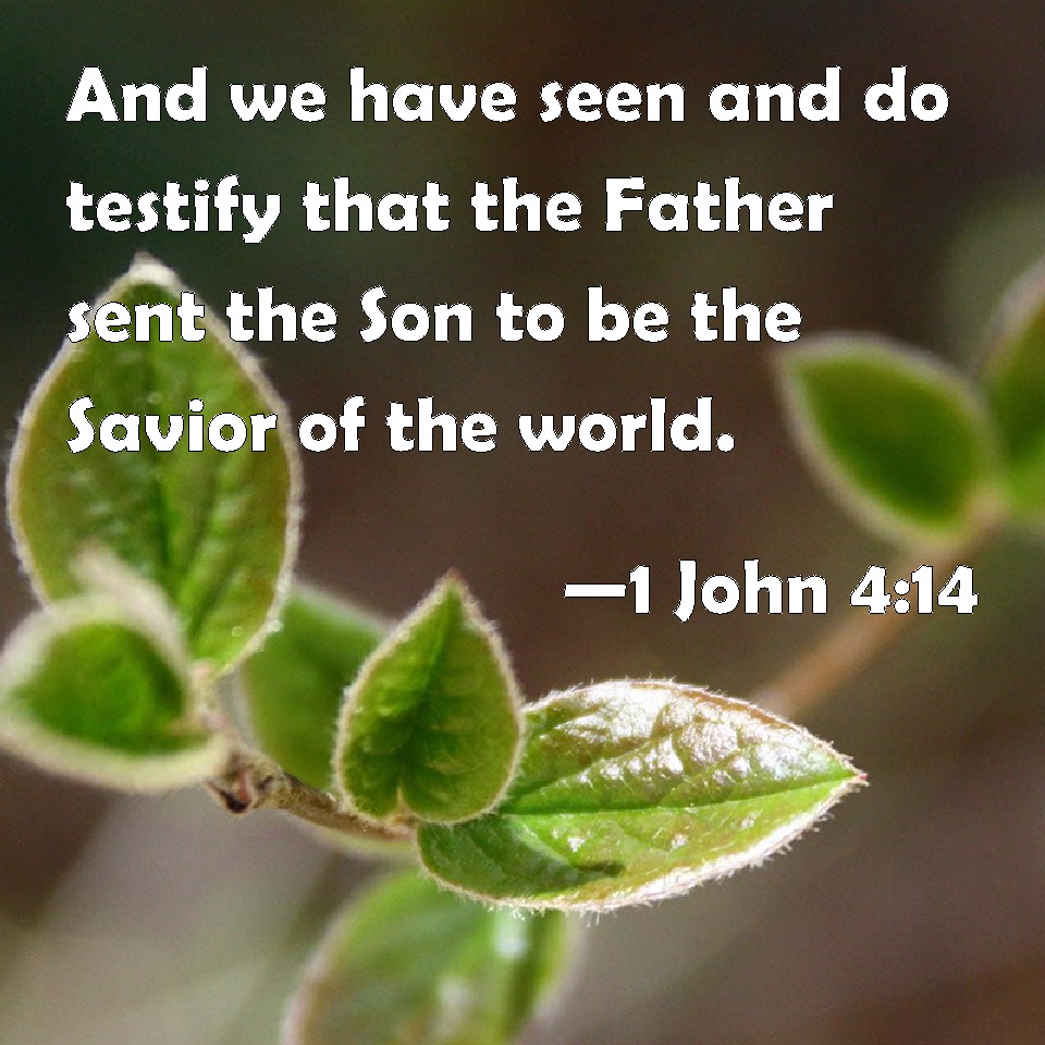 1 John 4 14 And We Have Seen And Do Testify That The Father Sent The