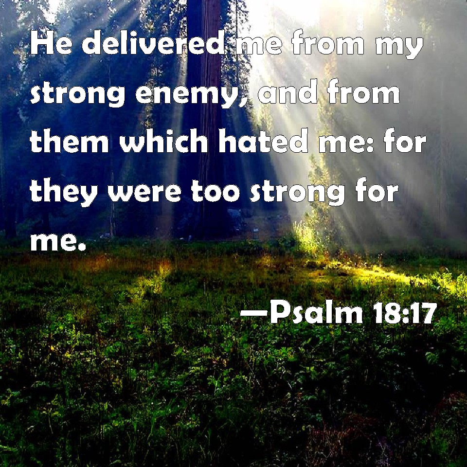 Psalm 18 17 He Delivered Me From My Strong Enemy And From Them Which