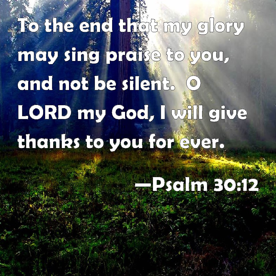 Psalm 30 12 To The End That My Glory May Sing Praise To You And Not Be