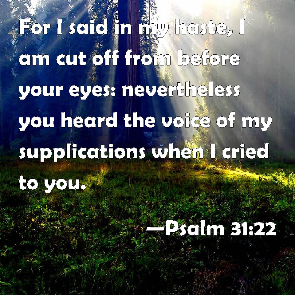 Psalm 31 22 For I Said In My Haste I Am Cut Off From Before Your Eyes