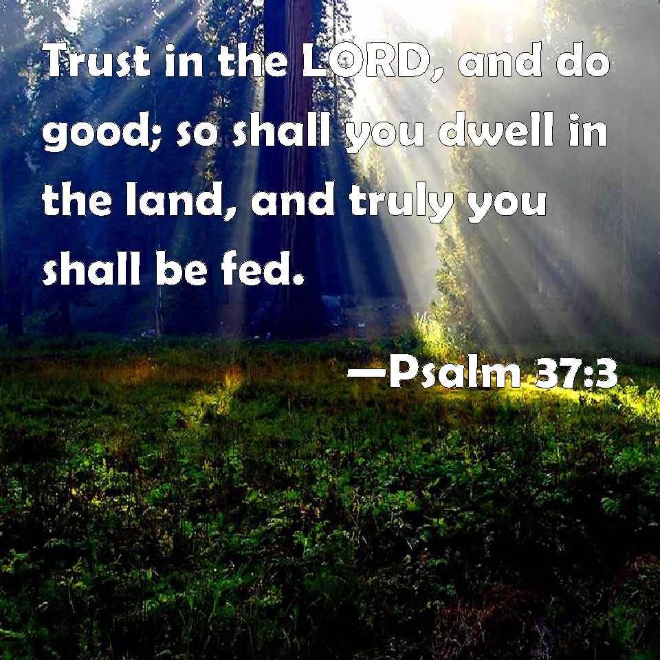 Psalm 37 3 Trust In The LORD And Do Good So Shall You Dwell In The Psalm 37 3 Trust In The LORD And Do Good So Shall You Dwell In The