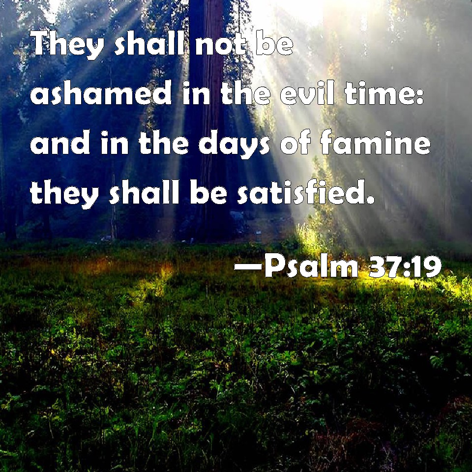 Psalm 37 19 They Shall Not Be Ashamed In The Evil Time And In The Days Psalm 37 19 They Shall Not Be Ashamed In The Evil Time And In The Days