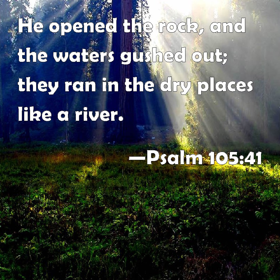 Psalm 105 41 He Opened The Rock And The Waters Gushed Out They Ran In