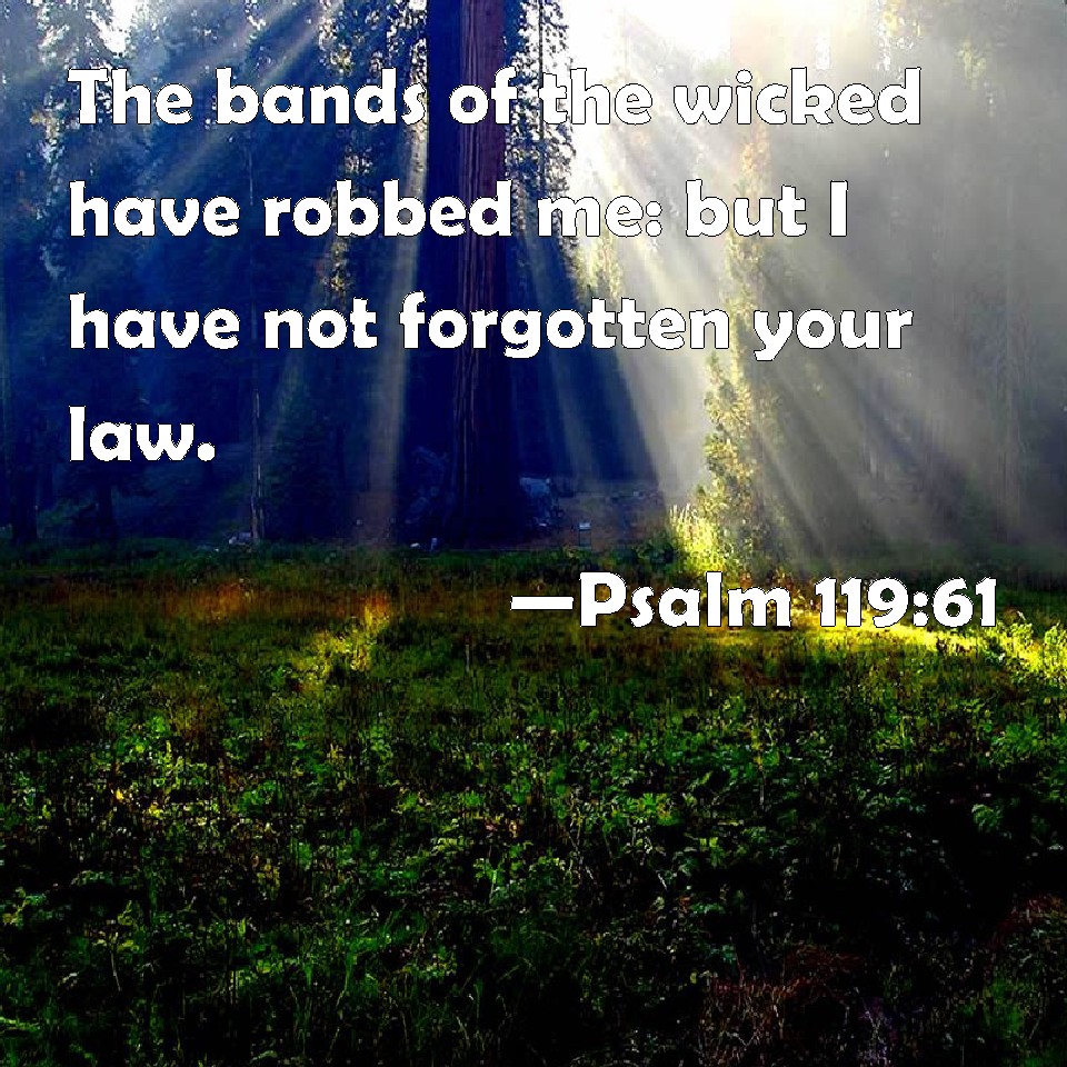 Psalm 119 61 The Bands Of The Wicked Have Robbed Me But I Have Not