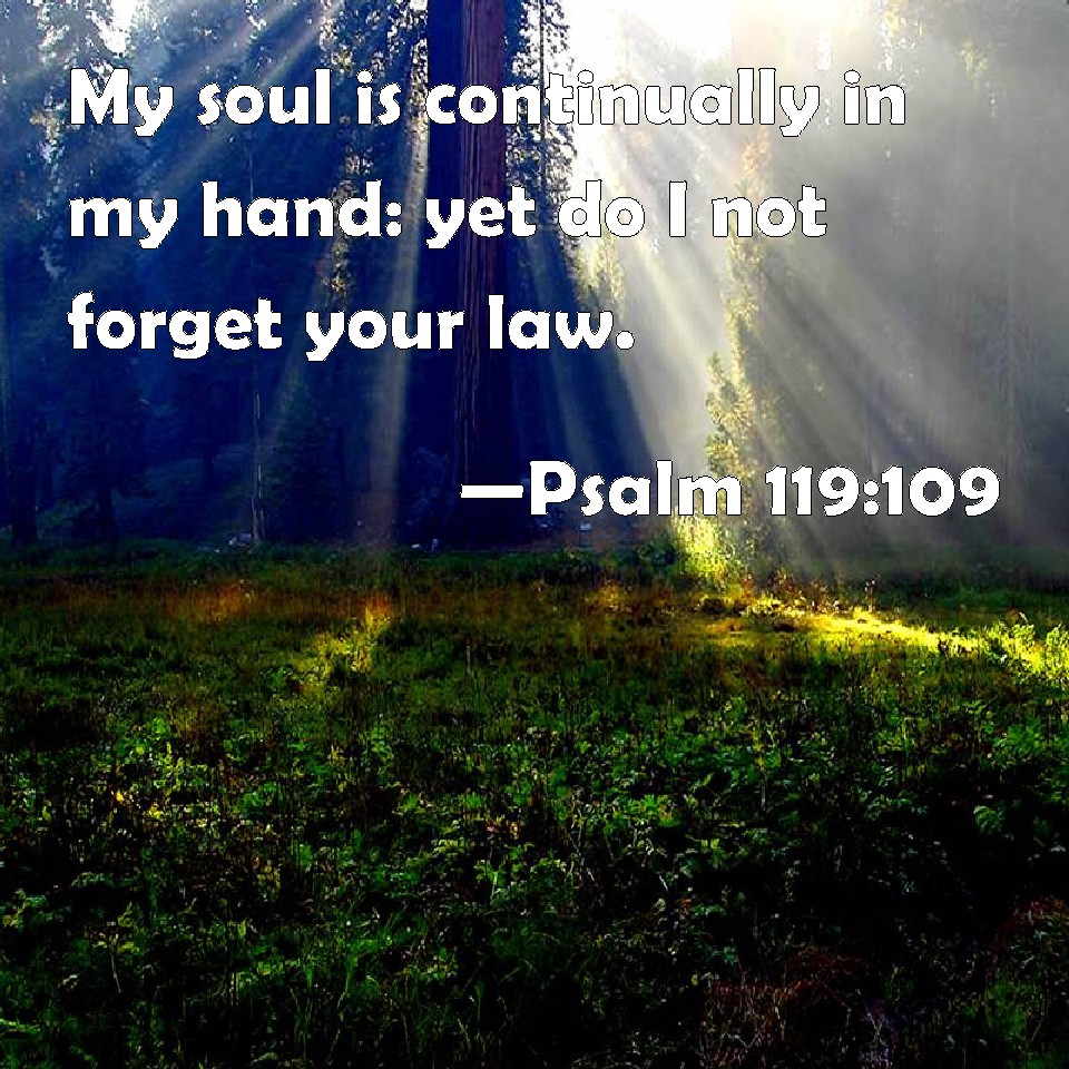 Psalm 119 109 My Soul Is Continually In My Hand Yet Do I Not Forget