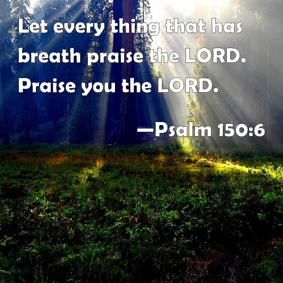 Psalm 150 6 Let Every Thing That Has Breath Praise The LORD Praise You