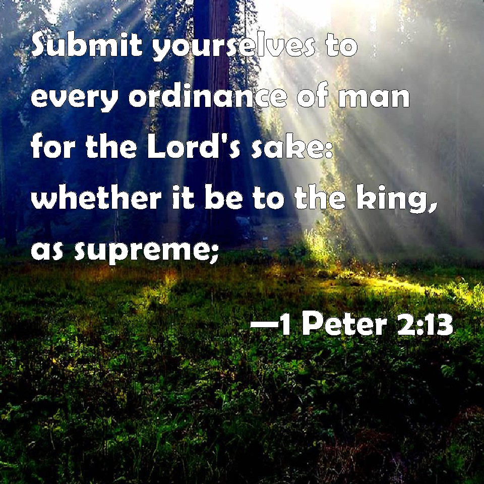 1 Peter 2 13 Submit Yourselves To Every Ordinance Of Man For The Lord s 1 Peter 2 13 Submit Yourselves To Every Ordinance Of Man For The Lord s
