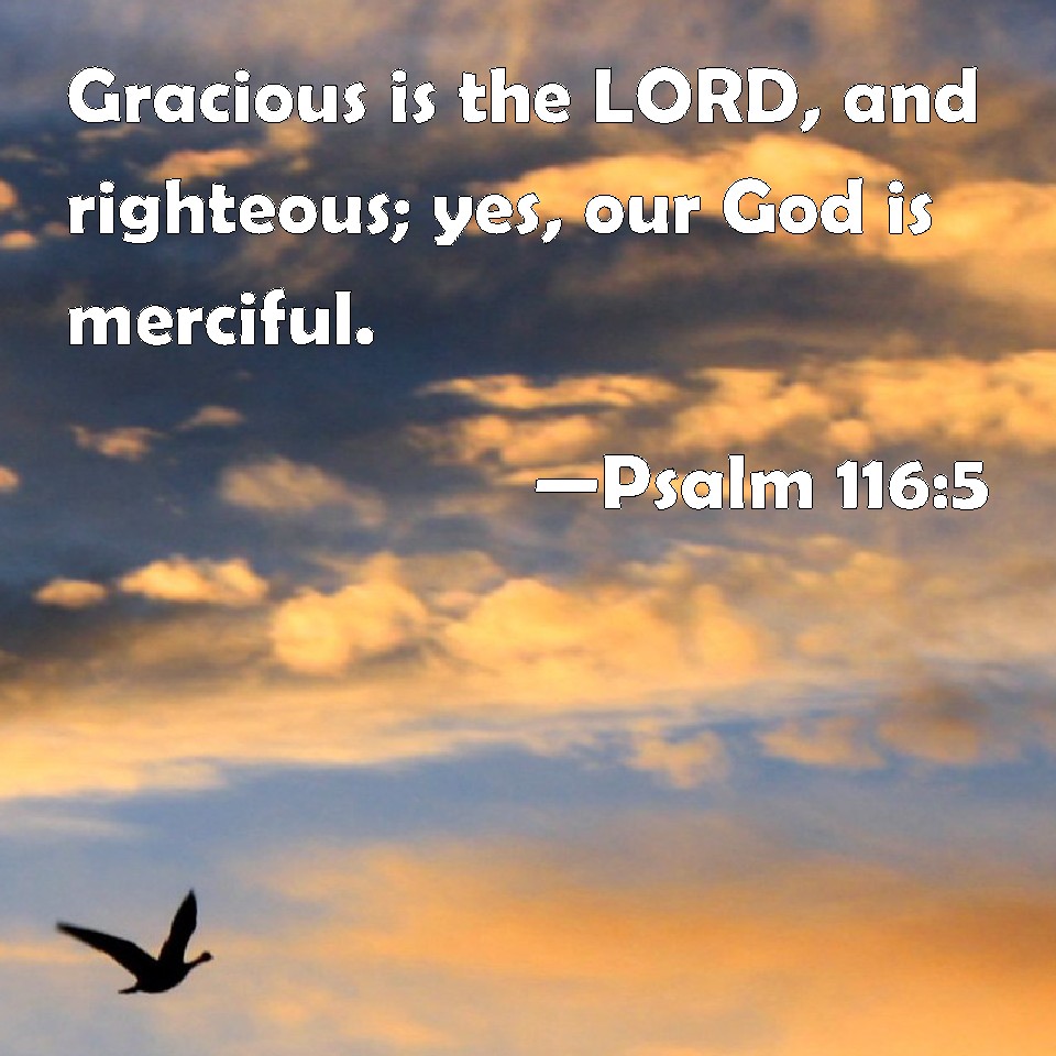 Psalm 116 5 Gracious Is The LORD And Righteous Yes Our God Is Merciful 