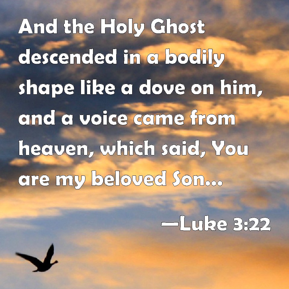 Luke 3 22 And The Holy Ghost Descended In A Bodily Shape Like A Dove On Luke 3 22 And The Holy Ghost Descended In A Bodily Shape Like A Dove On