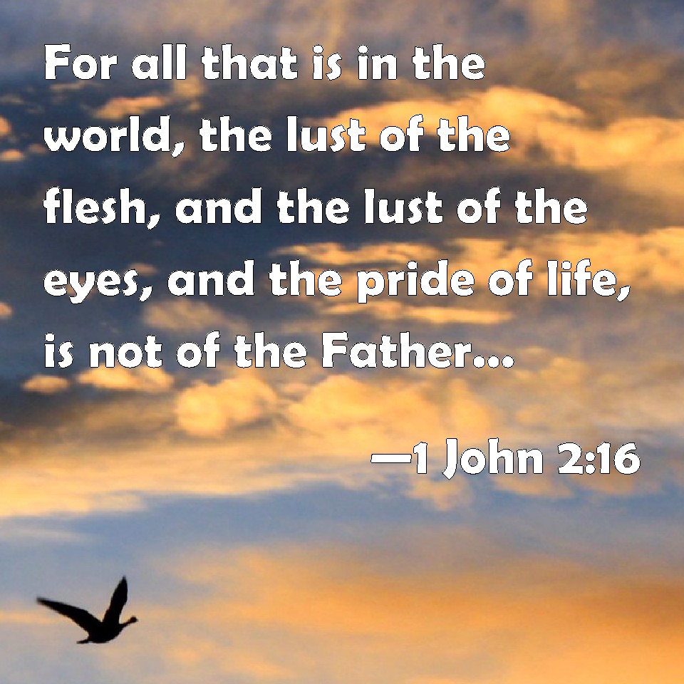 1 John 2 16 For All That Is In The World The Lust Of The Flesh And