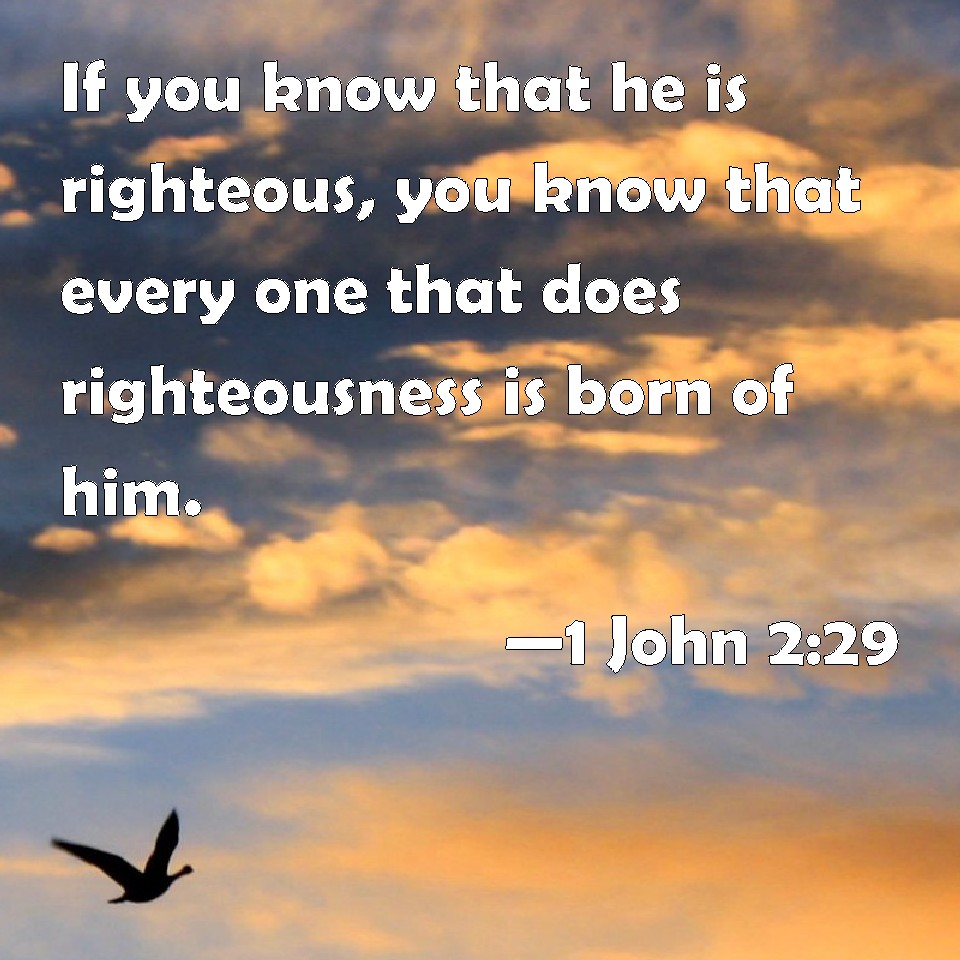 1 John 2 29 If You Know That He Is Righteous You Know That Every One