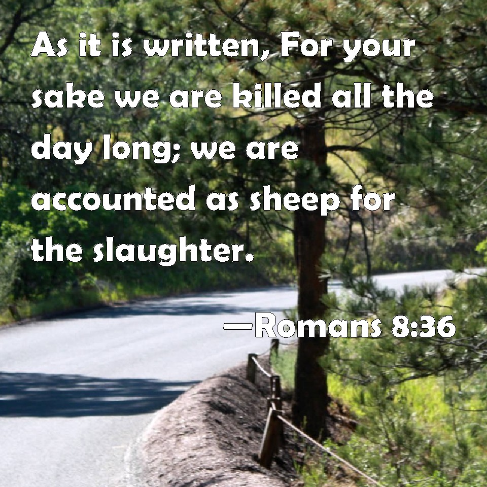 Romans 8 36 As It Is Written For Your Sake We Are Killed All The Day