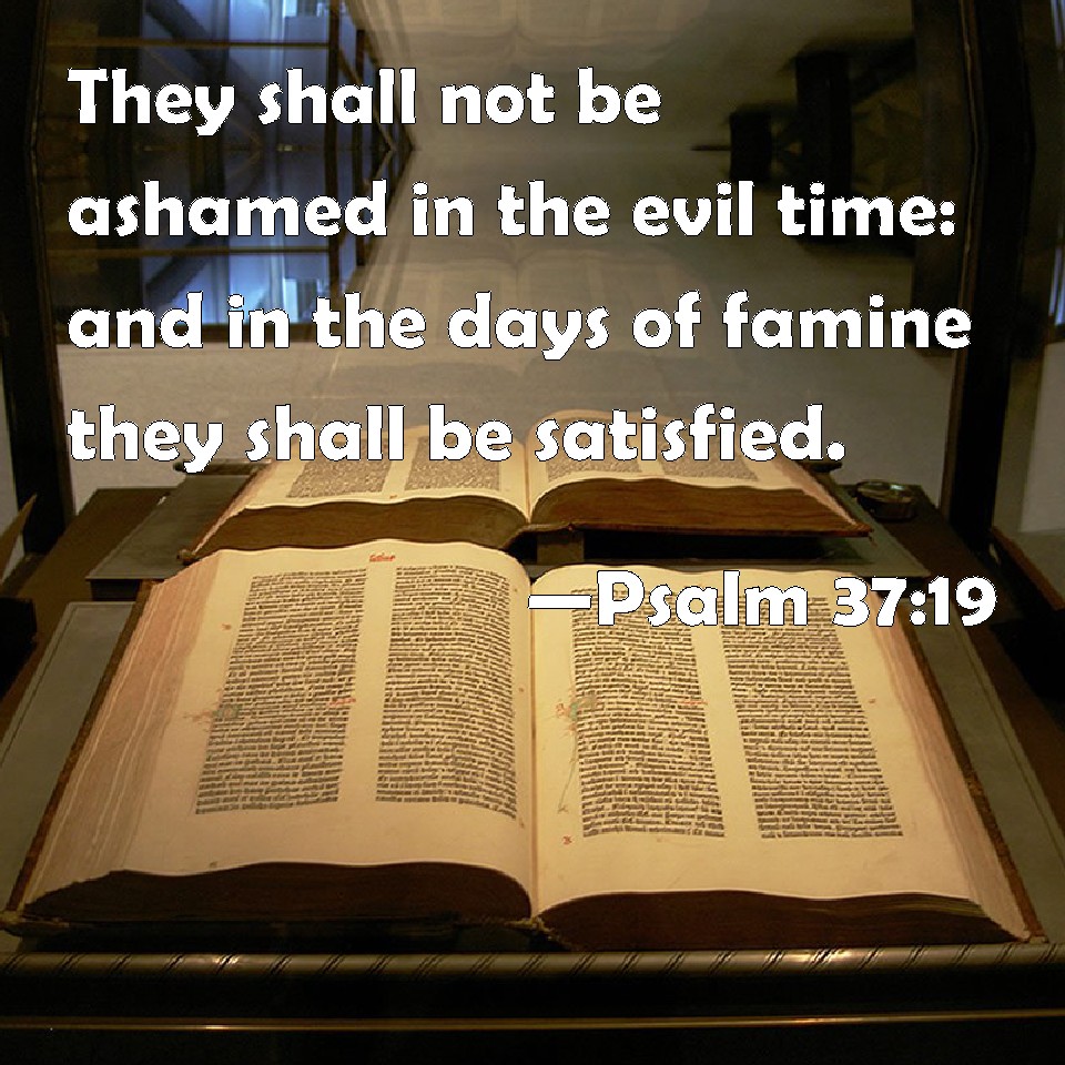Psalm 37 19 They Shall Not Be Ashamed In The Evil Time And In The Days Psalm 37 19 They Shall Not Be Ashamed In The Evil Time And In The Days