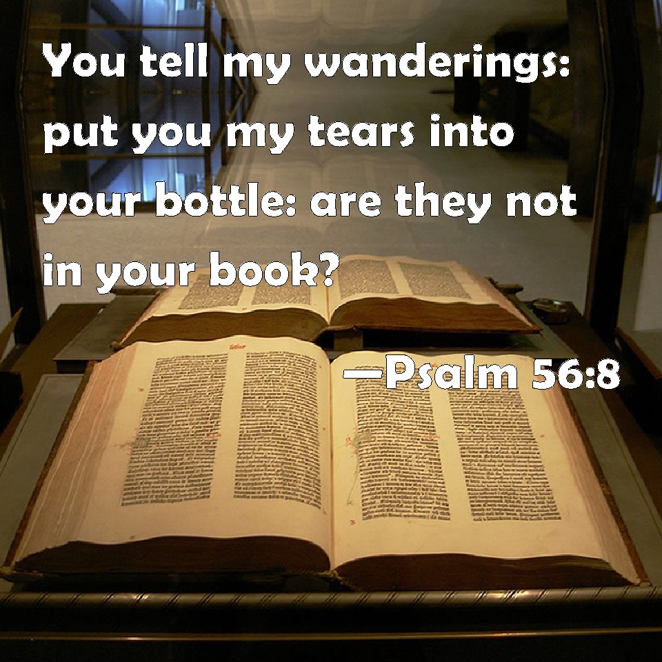 Psalm 56 8 You Tell My Wanderings Put You My Tears Into Your Bottle