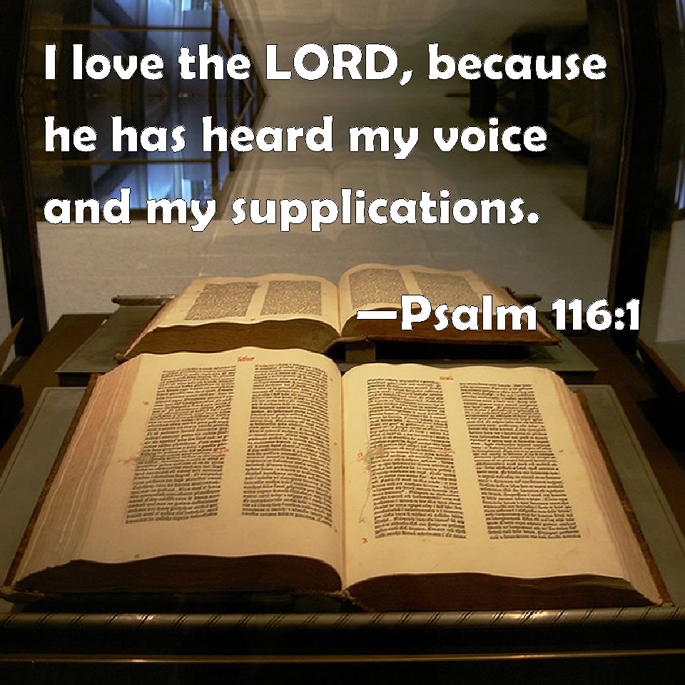 Psalm 116 1 I Love The LORD Because He Has Heard My Voice And My Psalm 116 1 I Love The LORD Because He Has Heard My Voice And My