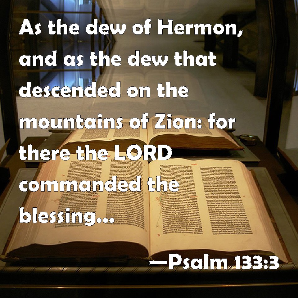 Psalm 133 3 As The Dew Of Hermon And As The Dew That Descended On The