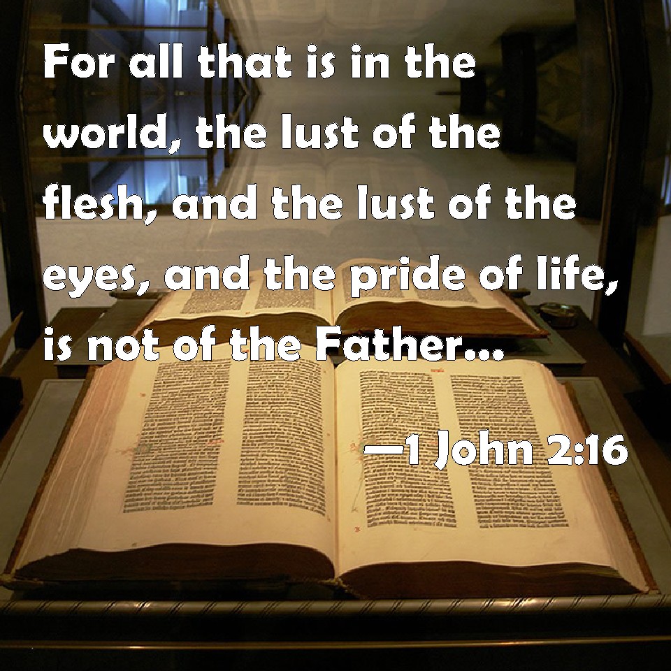 1 John 2 16 For All That Is In The World The Lust Of The Flesh And